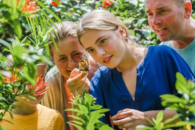 Aruba Sightseeing Tour with Transport - FAQ