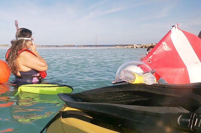 Aruba Snorkeling Tour: Mangel Halto and Baby Beach - The Sum Up: Why Choose This Snorkeling Tour?