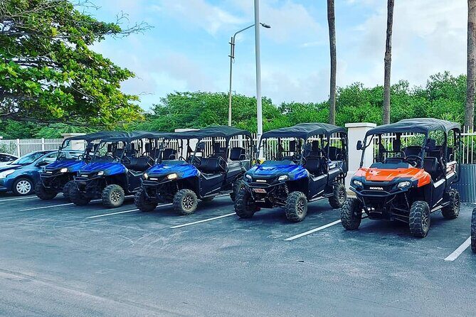 Aruba UTV Rental: 4-Seater for Adventure Exploration - Practical Details and Tips