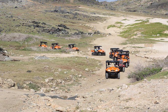 Aruba UTV Rentals For Off-Road Adventure - Why This Experience Is Worth Considering