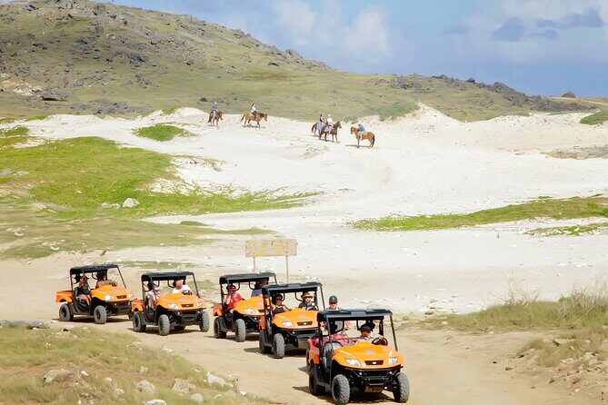Aruba UTV Tour with Natural Cave Pool and Cliff Jumping - Real Travelers’ Opinions: The Good, The Bad, and The Unexpected