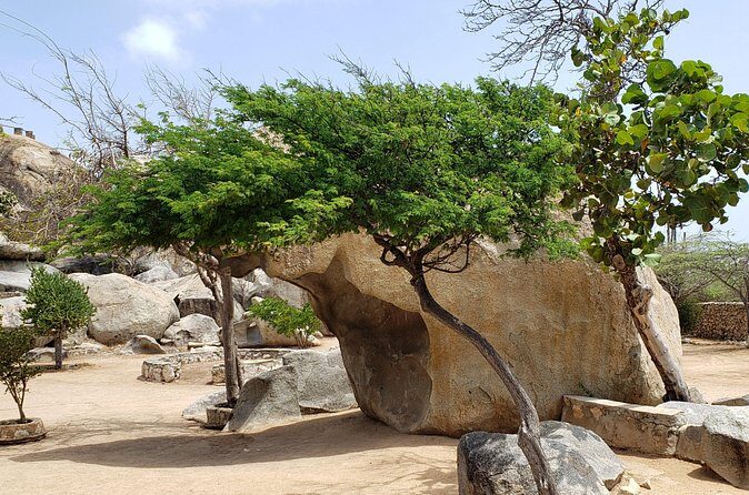 Arubabound Transfers - Pricing and Value: More Than Just a Ride