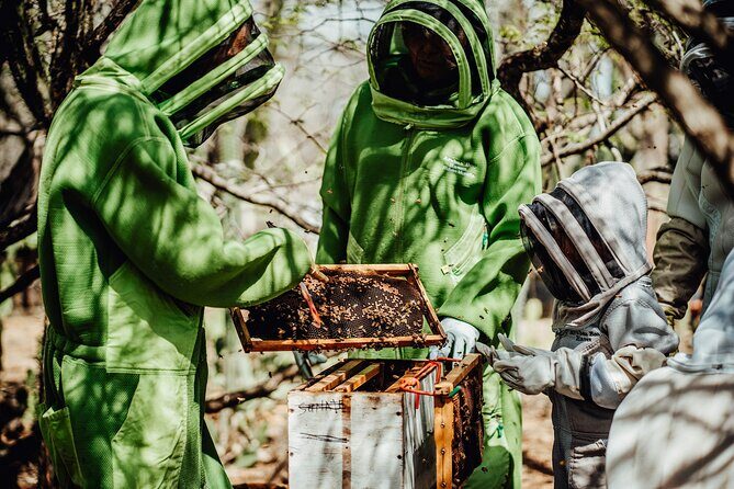 Aruba´s Bee Haven Private Adventure - FAQ