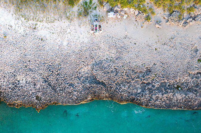 Aruba's Finest Sip and Paint Experience by the Beach - Authentic Feedback and Expectations