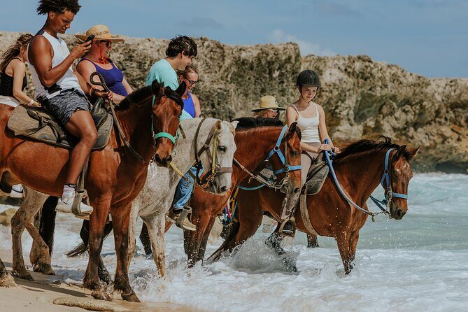 Aruba's Northern Coast Horseback Adventure - Key Points