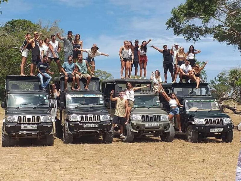 Arugam Bay: All Inclusive Kumana National Park 4x4 Safari - Key Points