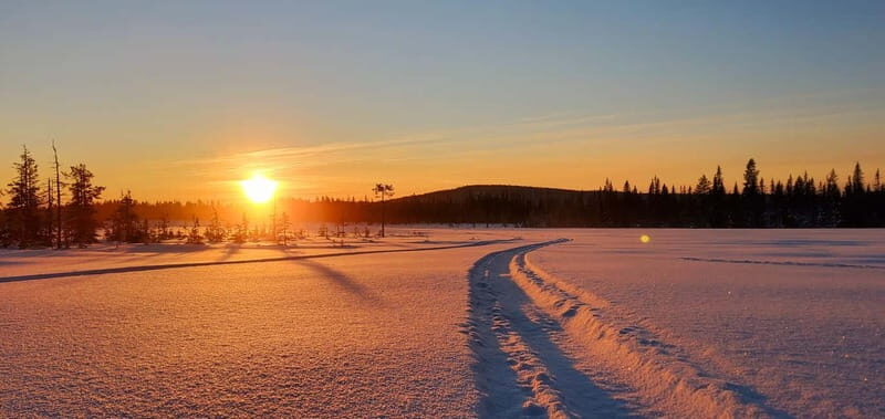 Arvidsjaur: 2-hour snowmobile tour in Swedish Lapland - Accessibility and Practical Considerations