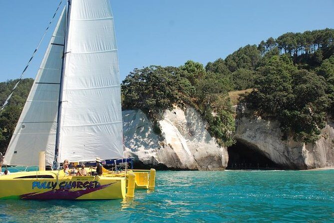 Arvo of goodness Chilled out Sail (3.5hrs) - Key Points