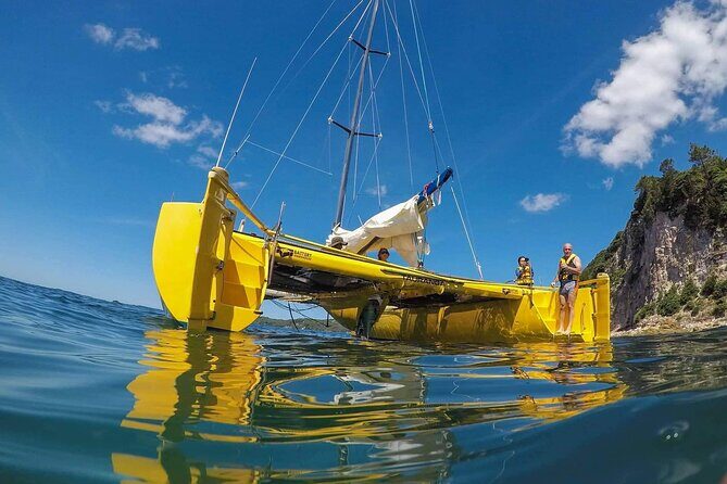 Arvo of goodness Chilled out Sail (3.5hrs) - The Itinerary and Highlights