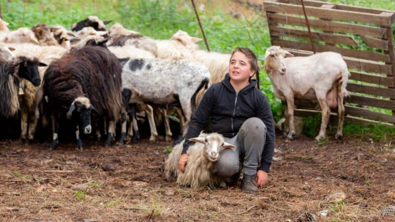 Arzana: Day with a shepherd w/ lunch in a farm - FAQs