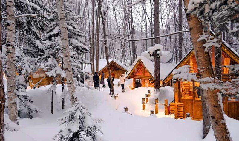 Asahiyama Adventure: Zoo+Waterfalls & Blue Pond Day Tour - An In-Depth Look at the Tour Experience