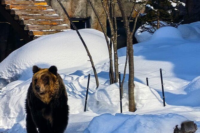 Asahiyama Zoo, Biei tree, Shirohige Falls and Blue Pond Day Tour - The Blue Pond: A Dreamlike Landscape