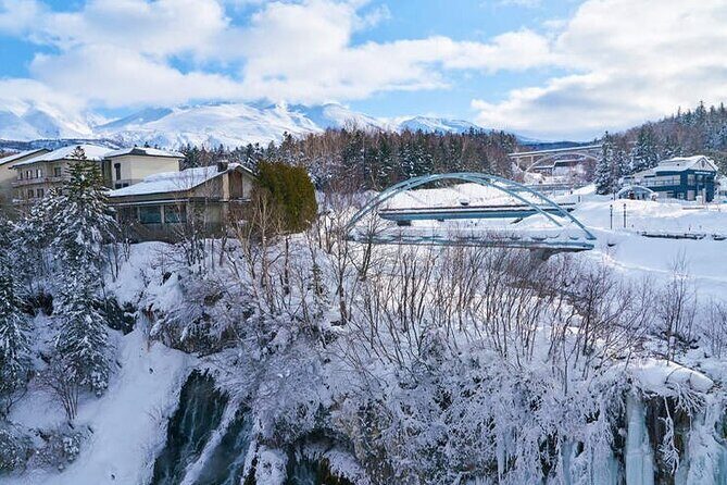 Asahiyama Zoo, Christmas Tree, Fairy Terrace Day Tour | Hokkaido - The Sum Up