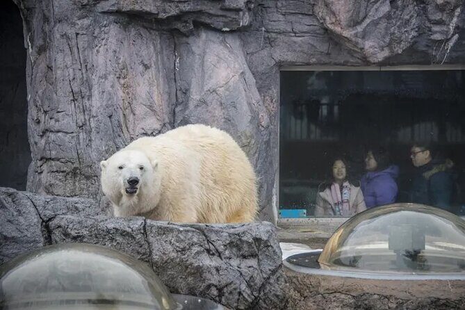 Asahiyama Zoo One-Day Tour - Key Points