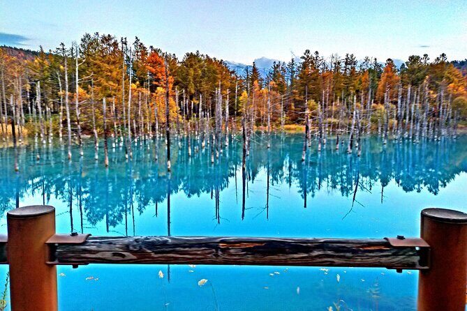 Asahiyama Zoo, Shirahige Falls, Biei, and Blue Pond Day Tour - Shirahige Falls: A Scenic Waterfall