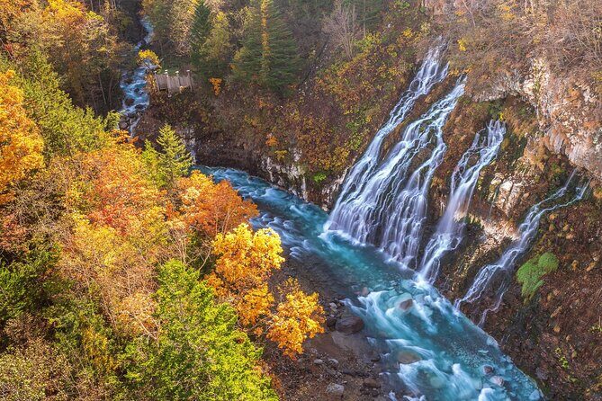 Asahiyama Zoo, Shirahige Falls, Biei, and Blue Pond Day Tour - Lunch: Japanese BBQ with Furano Melon