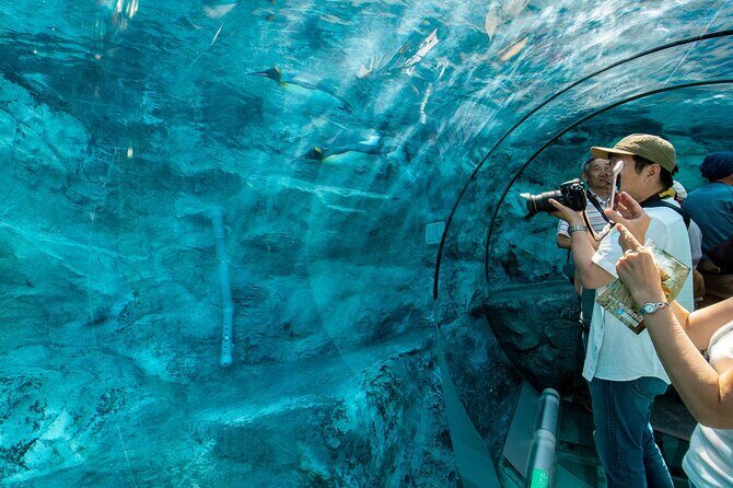 Asahiyama Zoo, Shirahige Falls, Biei, and Blue Pond Day Tour - Who Will Enjoy This Tour Most?