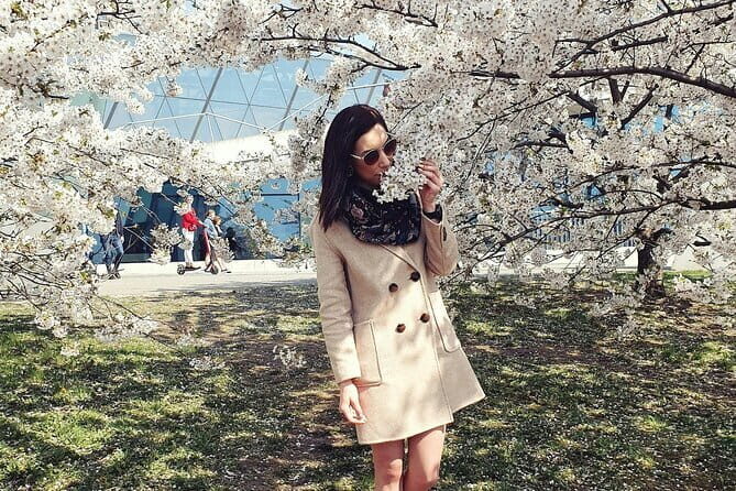 Asakusa: Cherry Blossom Viewing and History Tour - In-Depth Review of the Experience