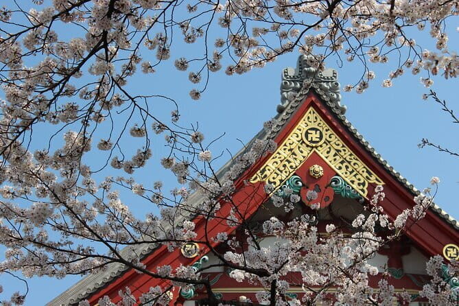 Asakusa: Cherry Blossom Viewing and History Tour - Frequently Asked Questions