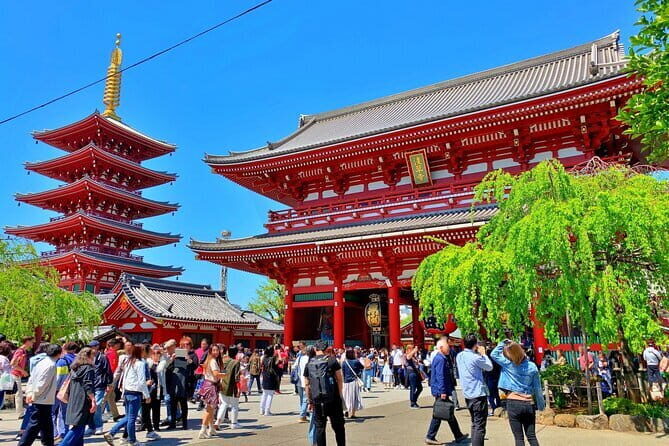 Asakusa History and Kappa Street (Kappabashi Dogugai) Tour - Key Points