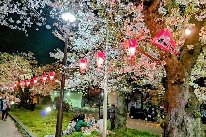 Asakusa: Night viewing of cherry blossom - Nighttime Magic: Illuminated Cherry Blossoms