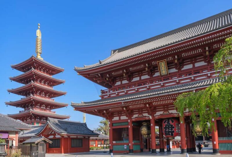 Asakusa : Sensoji Temple with Sake Tasting Session - Key Points