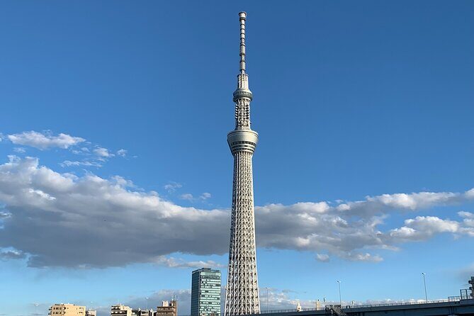 Asakusa: TOKYO SKYTREE exploration after history tour - Introduction: Why This Tour Stands Out