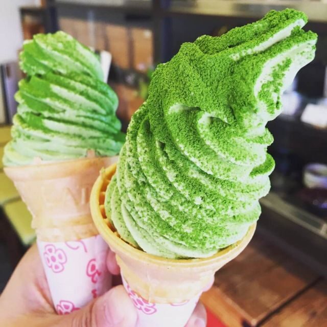 Asakusa: Tokyos #1 Family Food Tour - Key Points