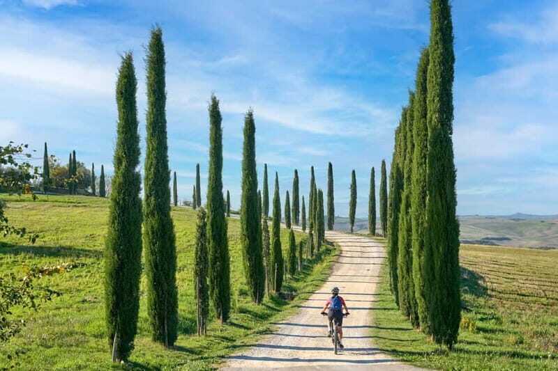 Asciano & Crete Senesi E-BIKE Tour + Pick-up&Drop-off by Van - Key Points