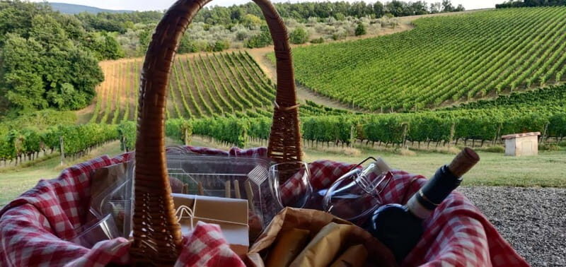 Asciano & Crete Senesi E-BIKE Tour + Pick-up&Drop-off by Van - Introduction: An Authentic, Active Day in Tuscany