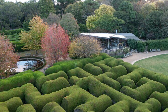 Ashcombe Maze & Lavender Gardens - Key Points