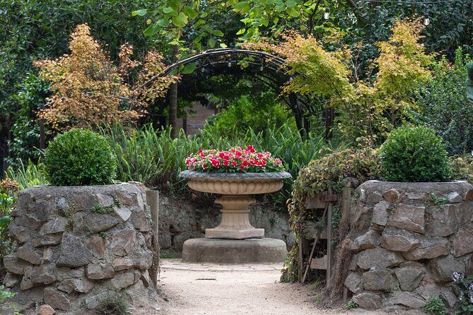 Ashcombe Maze & Lavender Gardens - Is It Worth the Price?