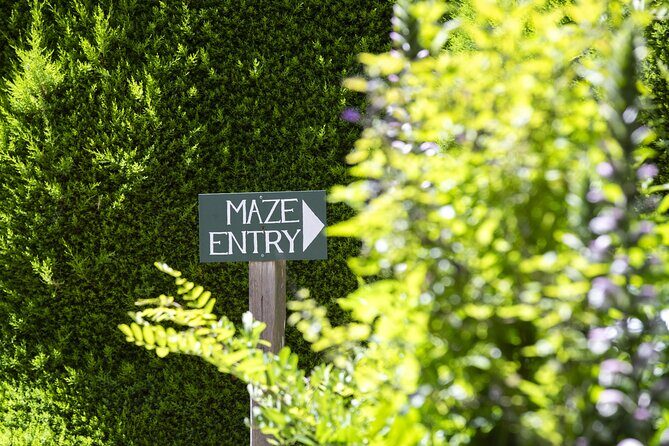 Ashcombe Maze & Lavender Gardens - Who Will Enjoy This Tour Most?