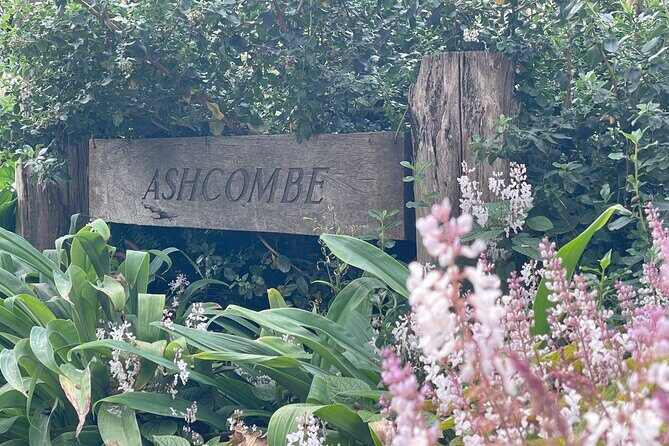 Ashcombe Maze & Lavender Gardens - FAQs