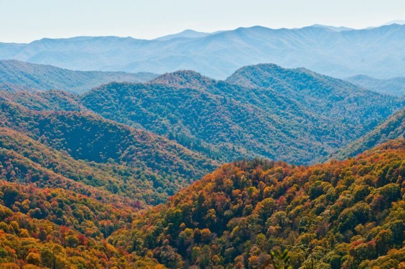 Asheville: Blue Ridge Mountains Tour for Children! - A Deep Dive into the Asheville: Blue Ridge Mountains Tour for Children