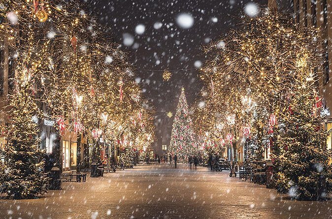 Asheville Holiday Season City Tour - Authentic Feedback from Past Travelers