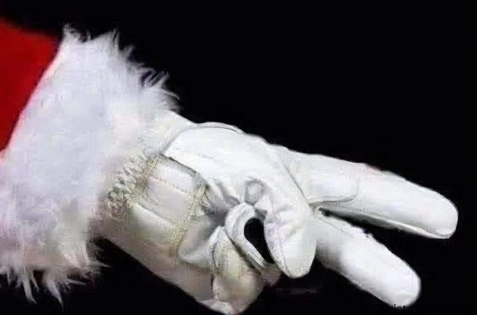 Asheville Holiday Season City Tour - The Sum Up