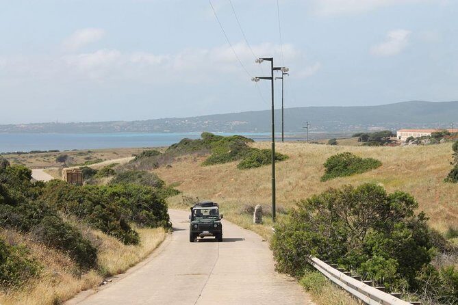 ASINARA ISLAND-TOUR full day Minivan in the National Park - FAQ