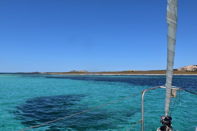 Asinara: sailing experience among the coves of the island - What This Tour Offers: A Friendly, Authentic Day at Sea