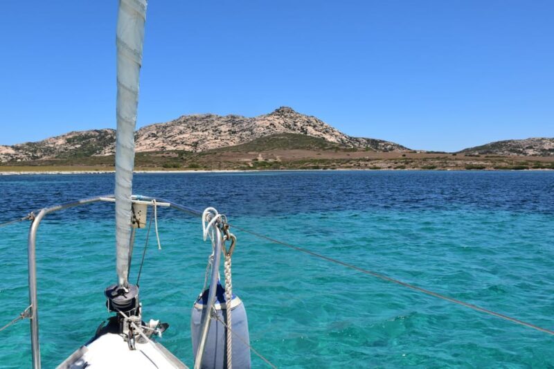 Asinara: sailing experience among the coves of the island - The Experience in Action: Dive into the Day