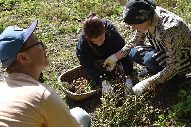 Aso Caldera and Farm Experience Tour - The Second Stop: Tateiwa Suigen Park
