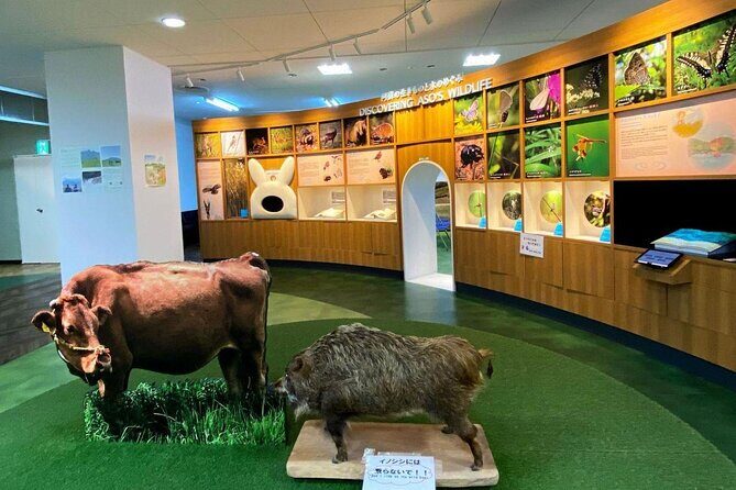 Aso Kusasenrigahama and Kurokawa Onsen Full Day Tour from Fukuoka - Frequently Asked Questions