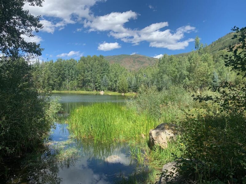 Aspen: Guided Light Hike with Roaring Fork River Views - Key Points