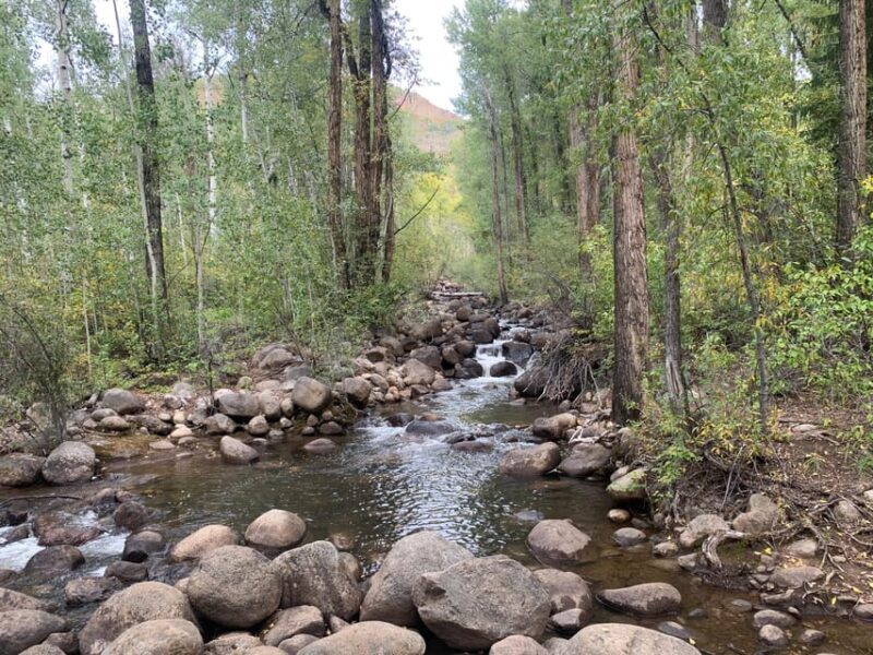 Aspen: Guided Light Hike with Roaring Fork River Views - An In-Depth Look at the Aspen Guided Light Hike