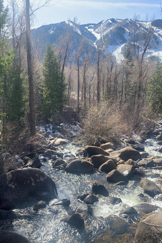 Aspen: Guided Light Hike with Roaring Fork River Views - Frequently Asked Questions (FAQs)