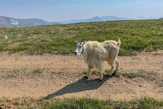 Aspen via Independence Pass Private Colorado Adventure Tour - FAQs about the Aspen via Independence Pass Private Tour