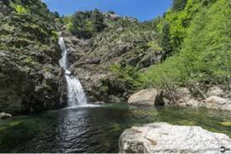 Aspromonte National Park: Private Trek to the Maesano Falls - Key Points