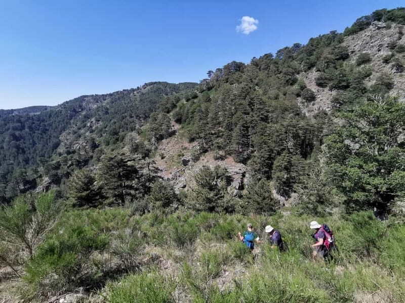 Aspromonte National Park: Private Trek to the Maesano Falls - An Authentic Look at Aspromonte National Park Adventure