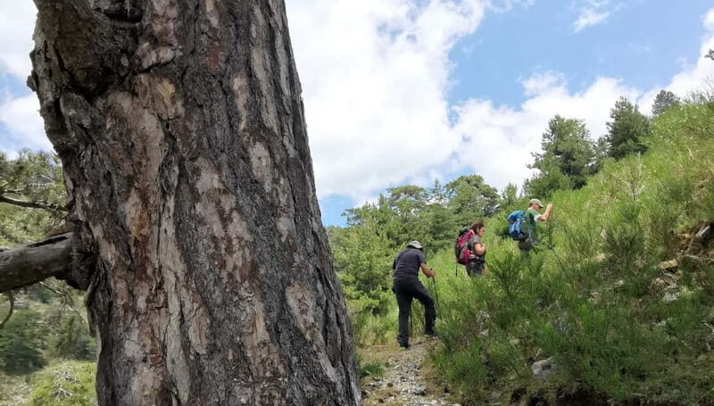 Aspromonte National Park: Private Trek to the Maesano Falls - Practicalities: What You Need to Know