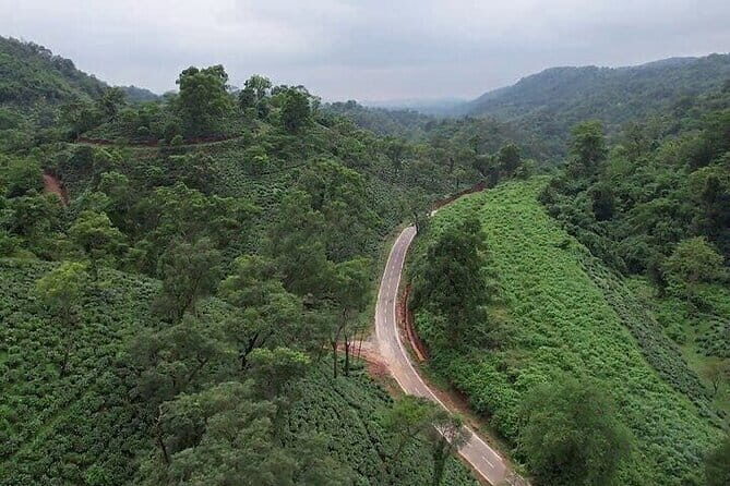 Assamese Food, Tea and Liquor experience with pick up in Guwahati - Final Thoughts